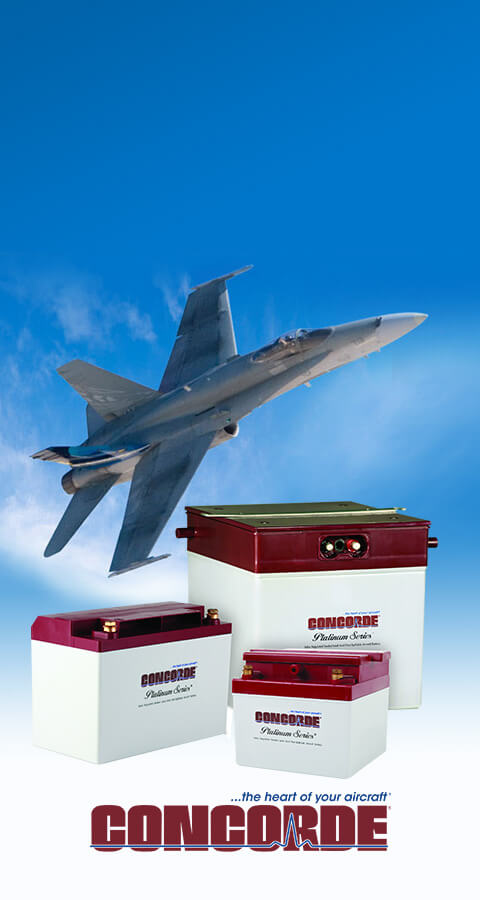 Economy AN365 Nut Packs | Aircraft Spruce